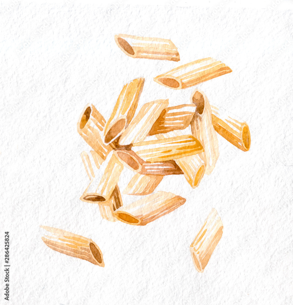 Pasta. Penne. Watercolor hand drawing. Food, vegetables and fruit ...