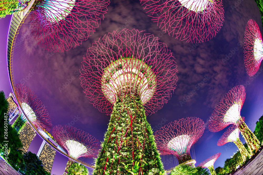 Supertree in Singapore in night time. Supertree is famous spot for ...