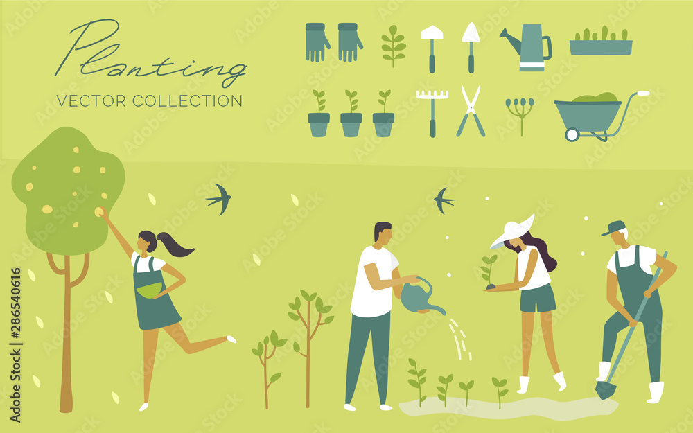Vector set, garden, ecology, organic, planting, botanica, green plants ...