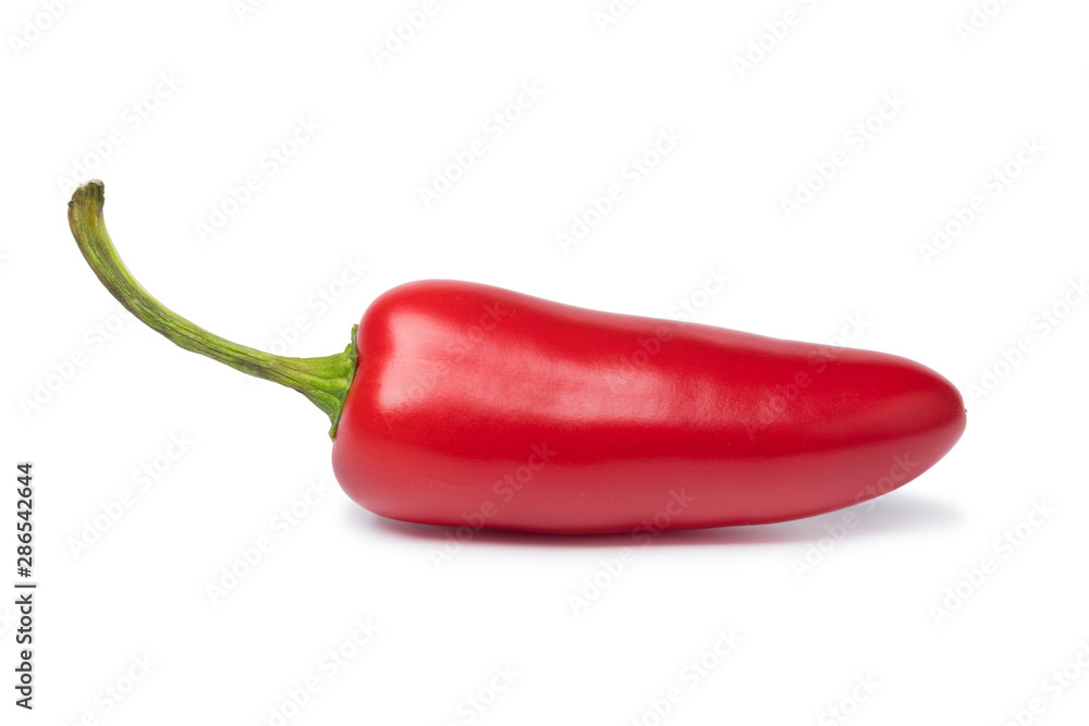 Single red Jalapeno pepper Stock Photo | Adobe Stock