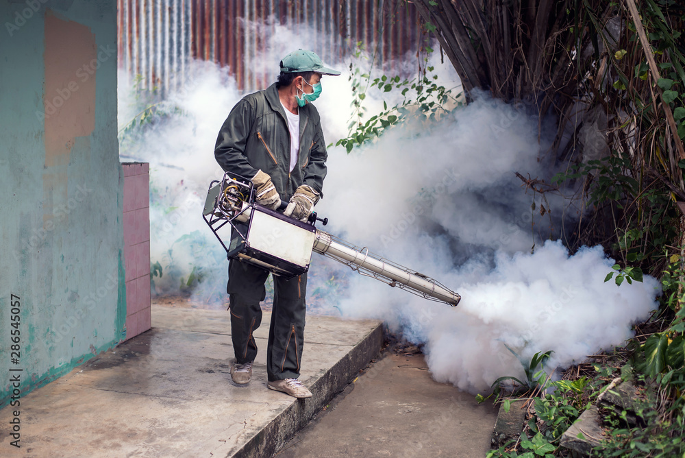 The man's fogging to eliminate mosquito for preventing spread dengue ...