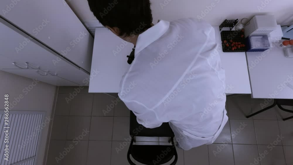 Laboratory assistants science medical laboratory prepare a microscope ...