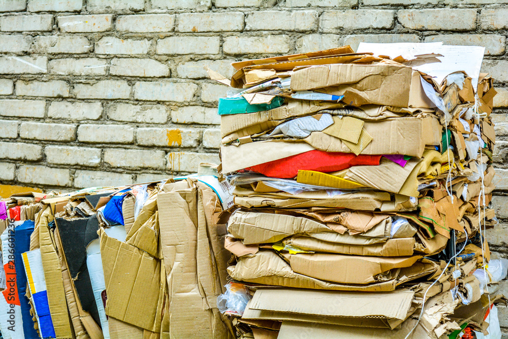 Bundle of wastepaper cardboard to be recycled. Paper cardboard is bale ...