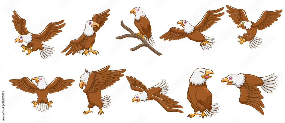 eagle vector set graphic clipart Stock Vector | Adobe Stock