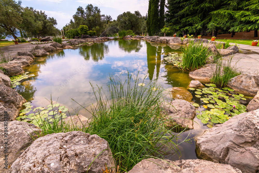 Artificial Pond