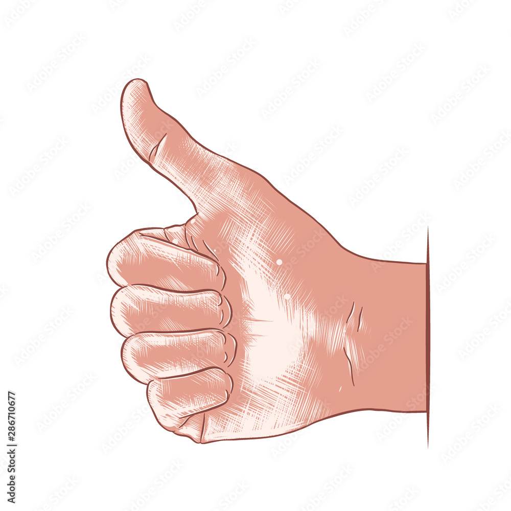 Vector engraved style illustration for posters, decoration, logo and ...