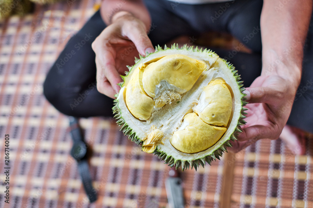 Foto de Close up of hand of Thai young man holding peeled yellow durian ...