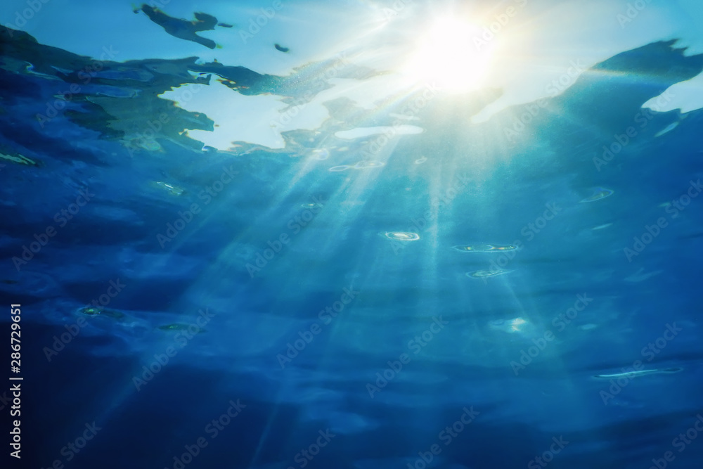 Underwater Sunlight Through Water Surface, Underwater Background Stock ...