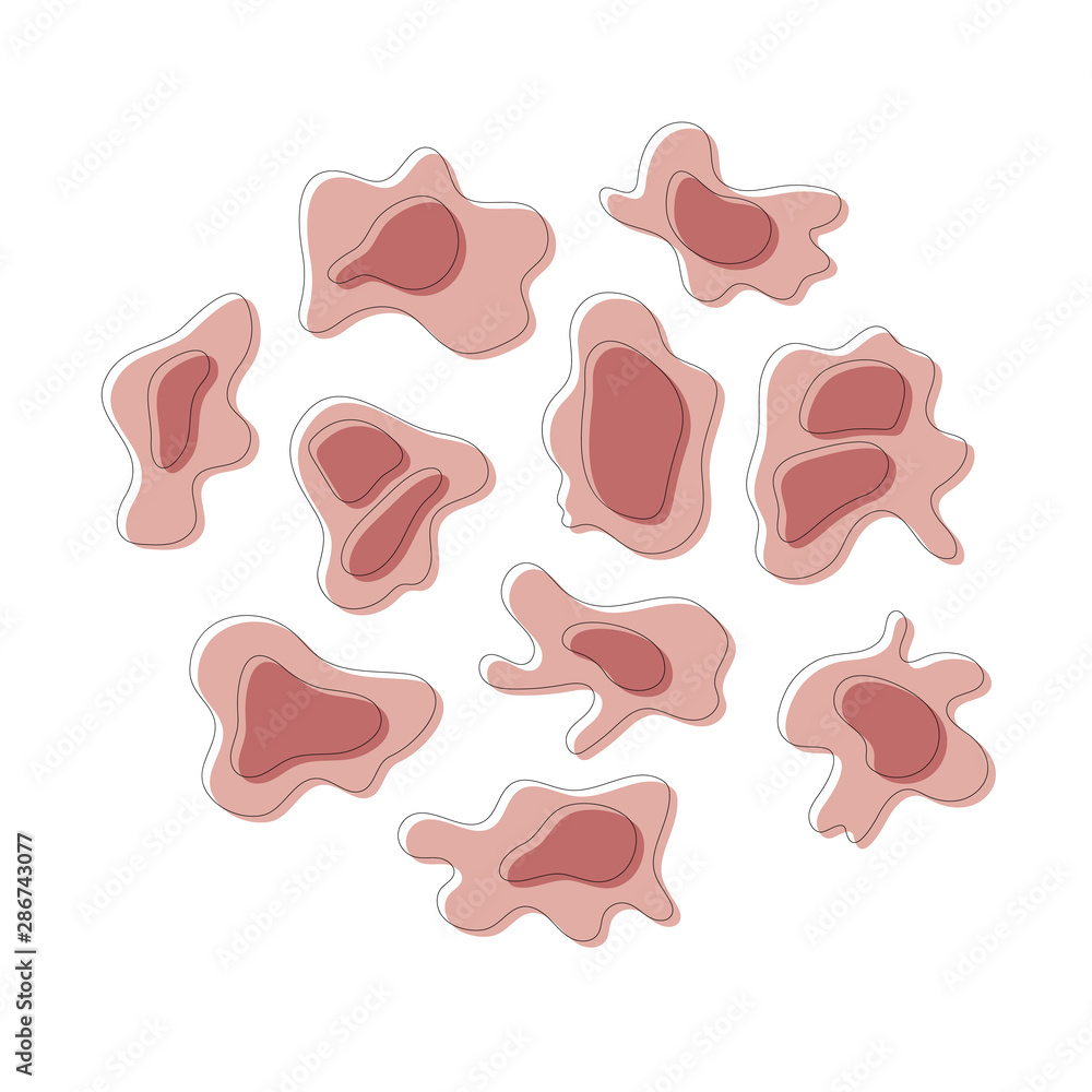 Vector illustration of cancer cell structure. Stock Vector | Adobe Stock