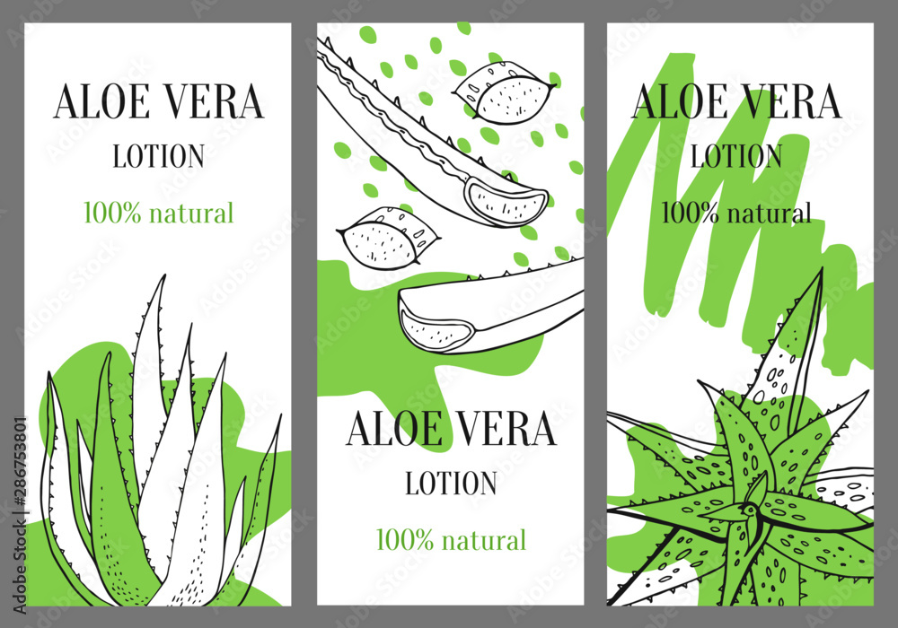Three vertical banners template with aloe vera plants. Hand drawn ...