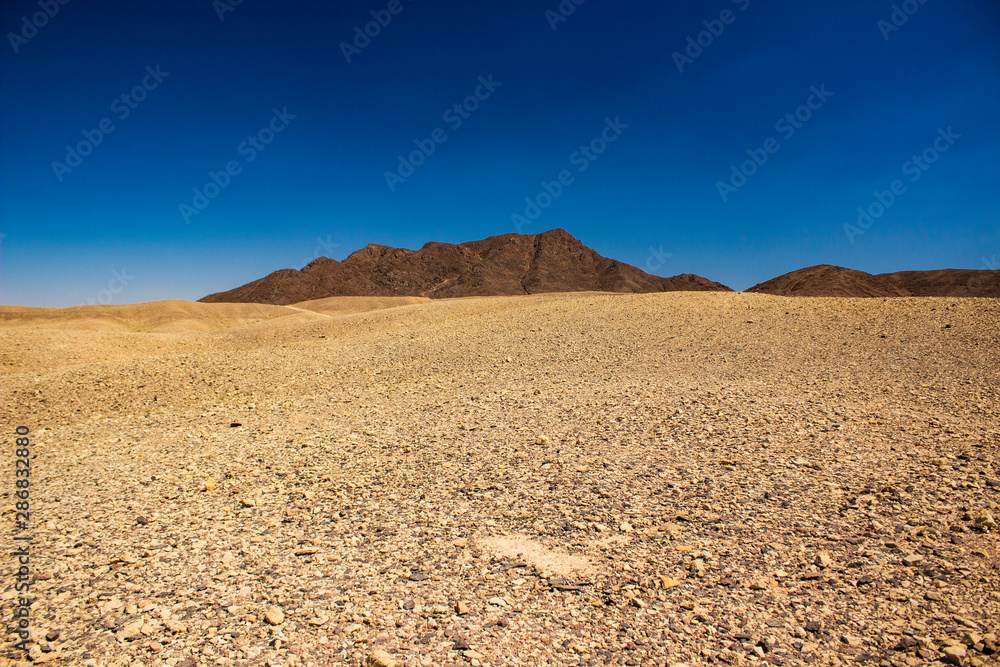 wilderness wasteland landscape global warming result dry dead ground to ...