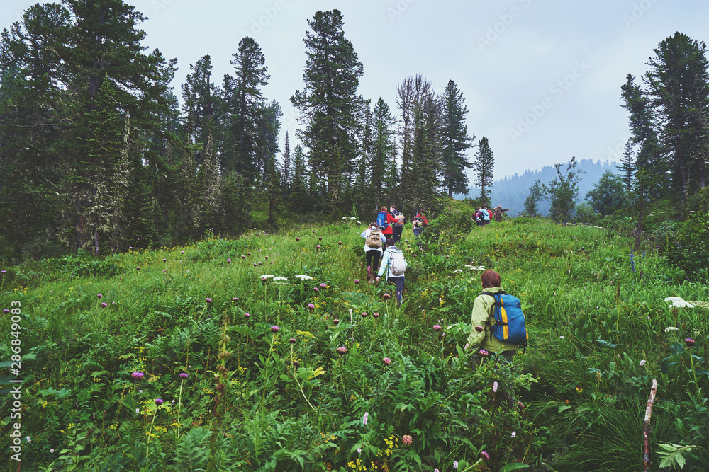 Group of hikers walking in the woods of the Ergaki National park in ...