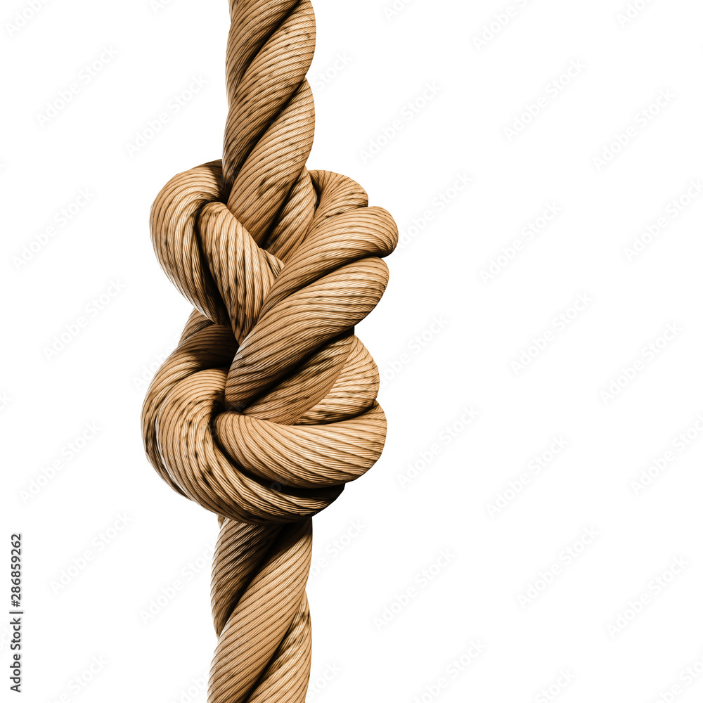 rope knot isolated on white Stock Illustration | Adobe Stock