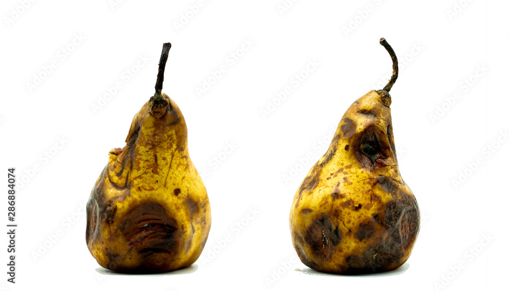 Rotten decay pear isolated on white background. Unhealthy food for ...