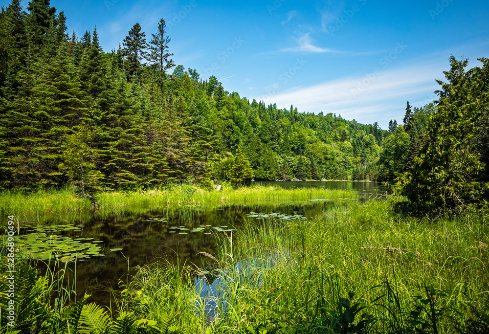 lush green landscape on the Talus lake Trail hike in Sleeping Giant ...