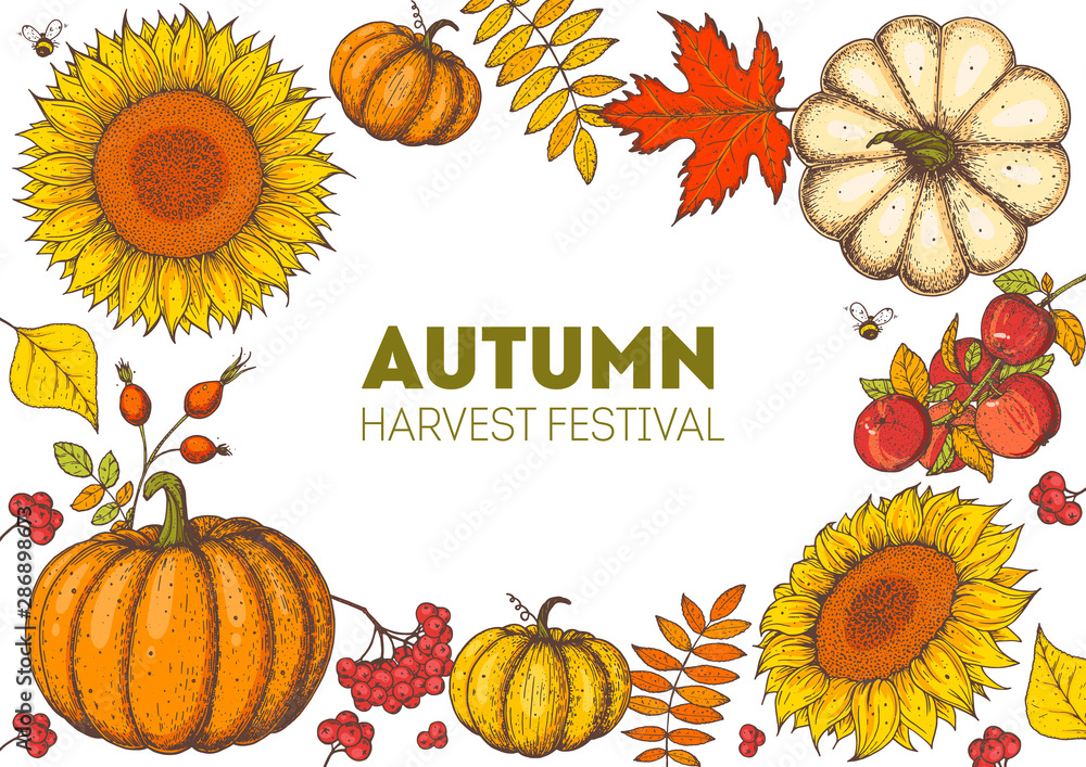 Harvest festival. Hand drawn frame with fall leaves, pumpkin and ...