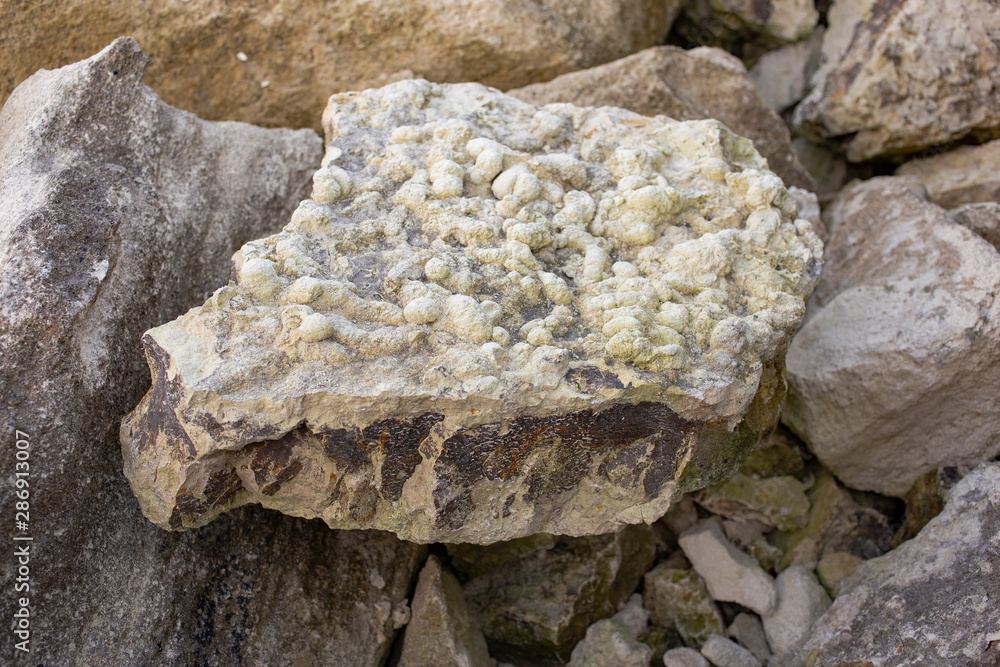 Texture of marine sedimentary rock. Coprolites of the ancient ...