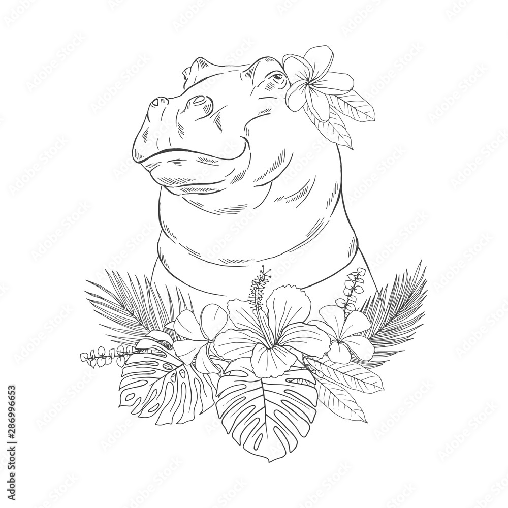 Hippo portrait with flowers hand drawn sketch. Hippopotamus with ...