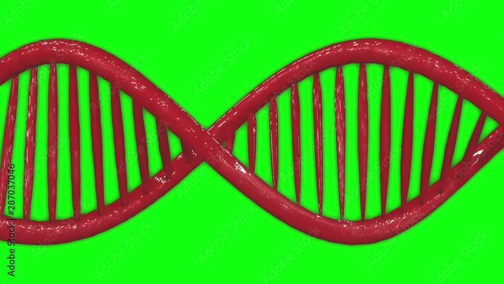 Red helix spiral human DNA molecules structure, abstract green screen ...