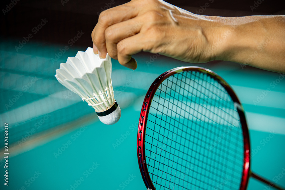 Hands of Badminton player holding racket and serving shuttlecock with ...
