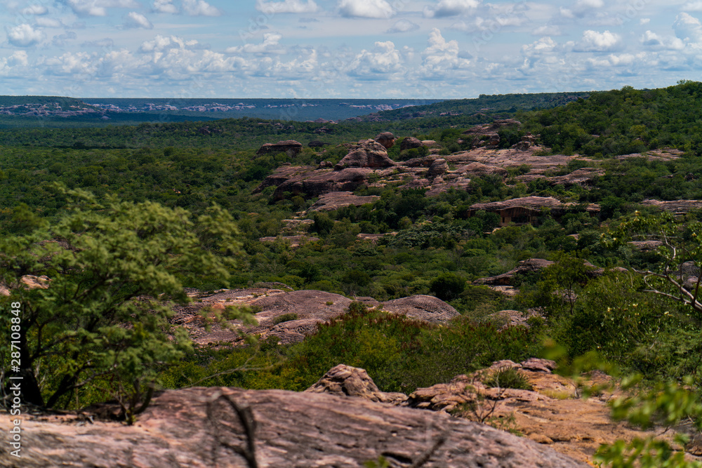 The Serra da Capivara National Park is in Caatinga, the only ...