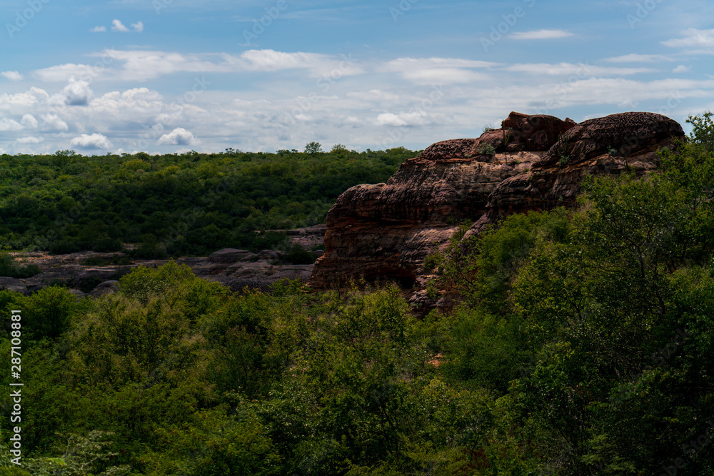 The Serra da Capivara National Park is in Caatinga, the only ...