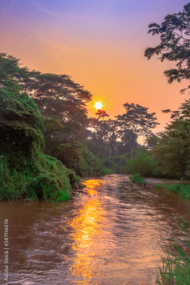 Sunrise view of Ishasha river, with trees growing and the reflections ...