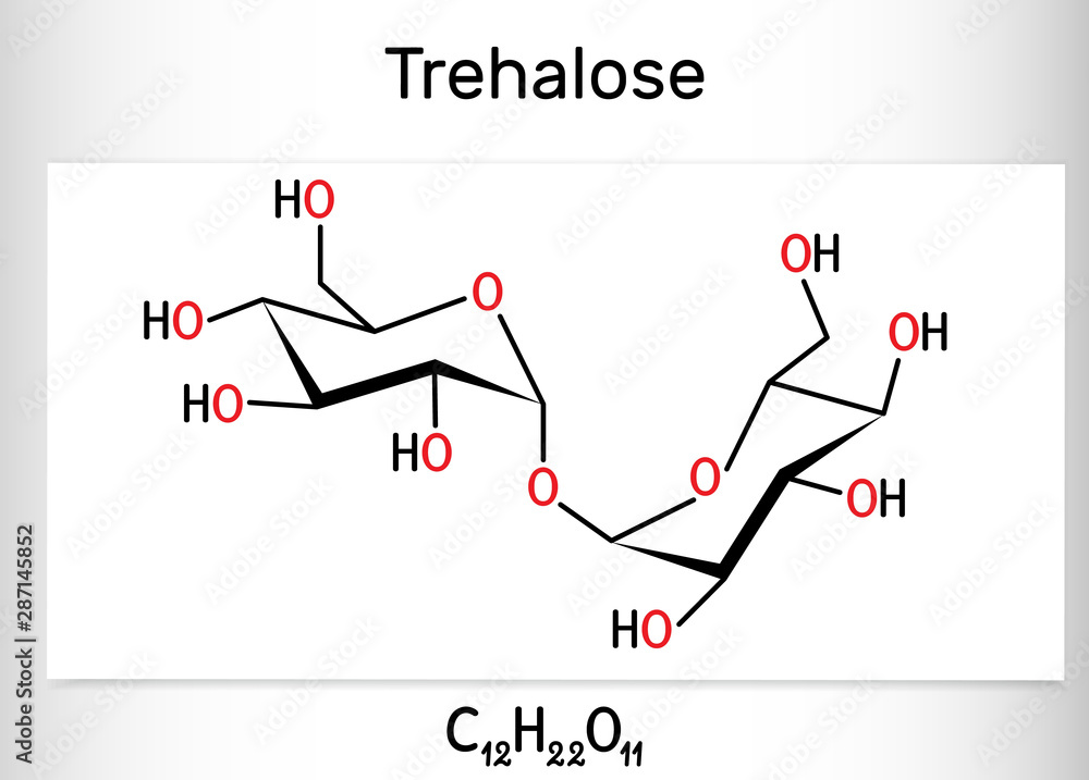 Trehalose, tremalose carbohydrate molecule. Also known as mycose. Is a ...