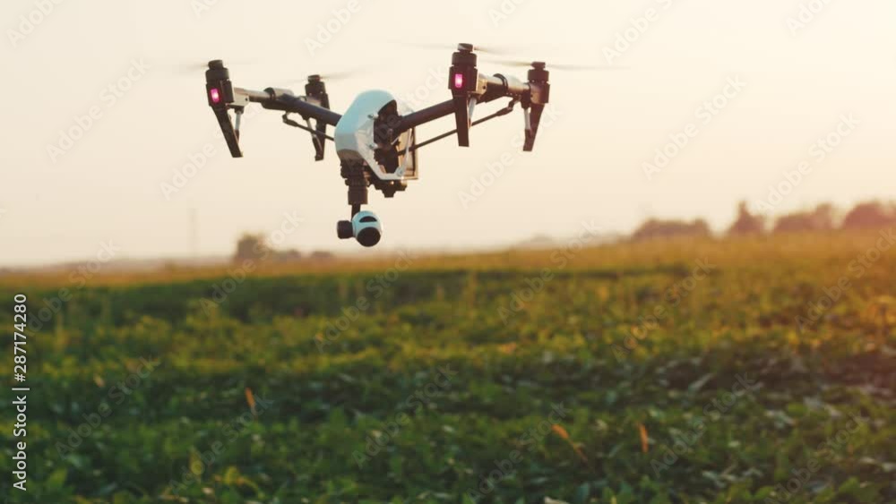 At sunset smart agriculture drone flying in sky rural aerial helicopter ...