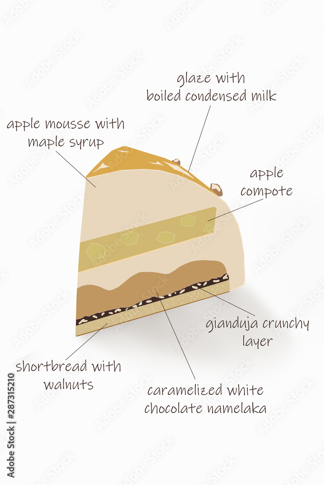 Detailed schematic diagram of cake with description of layers, on white ...