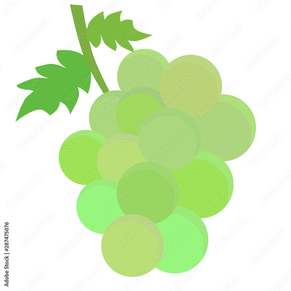 Grapes Fruit Design