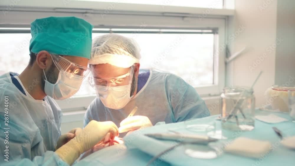 Baldness treatment. Hair transplant. Surgeons in the operating room ...