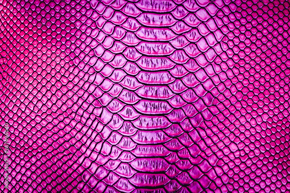 Pink luxury snake skin texture Stock Photo | Adobe Stock