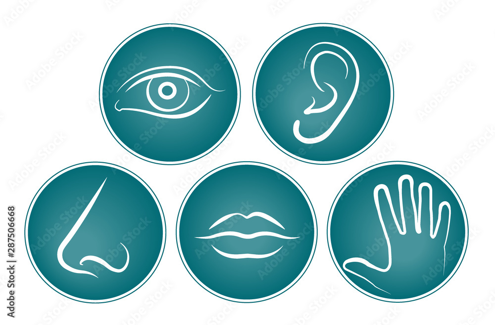 5 senses, symbols, vector, graphic Stock Vector | Adobe Stock