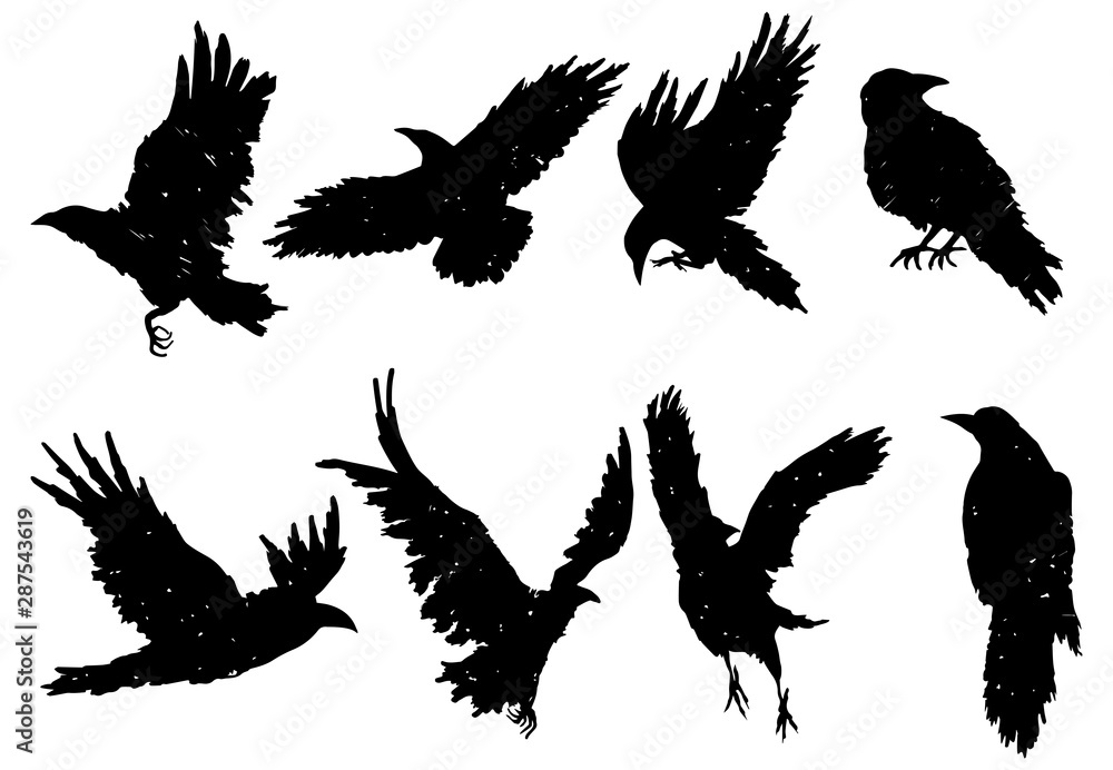 Set of ravens. A collection of black crows. Silhouette of a flying crow. Vector illustration of ...