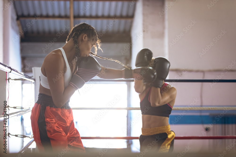 Boxers fighting in boxing ring Stock Photo | Adobe Stock