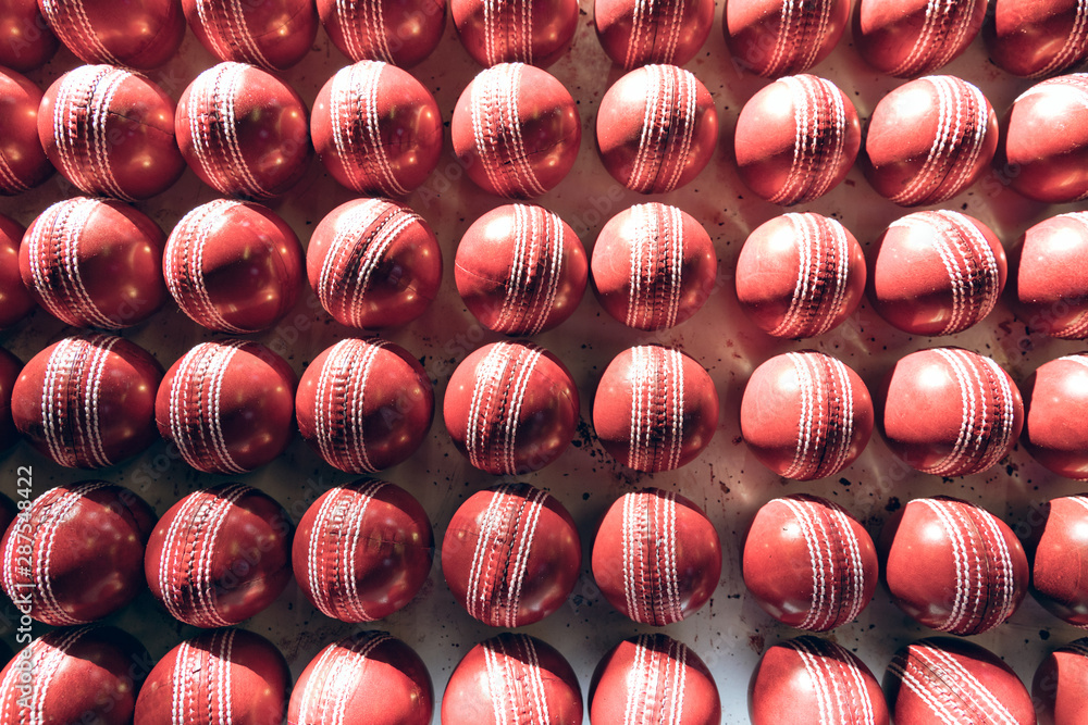 Overhead view of cricket balls in row Stock Photo | Adobe Stock