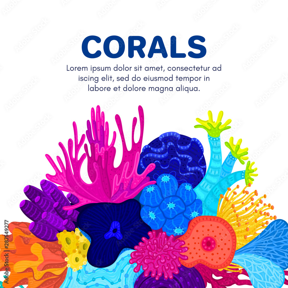Vector composition of corals. Background with colorful sea or ocean ...