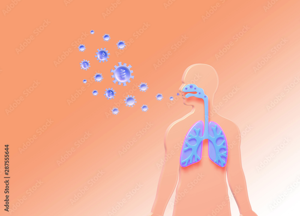 3D image of anatomical illustration of the human body, showing internal ...