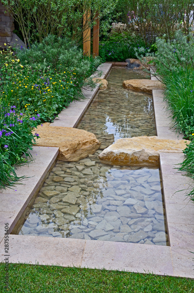 Modern Water Garden