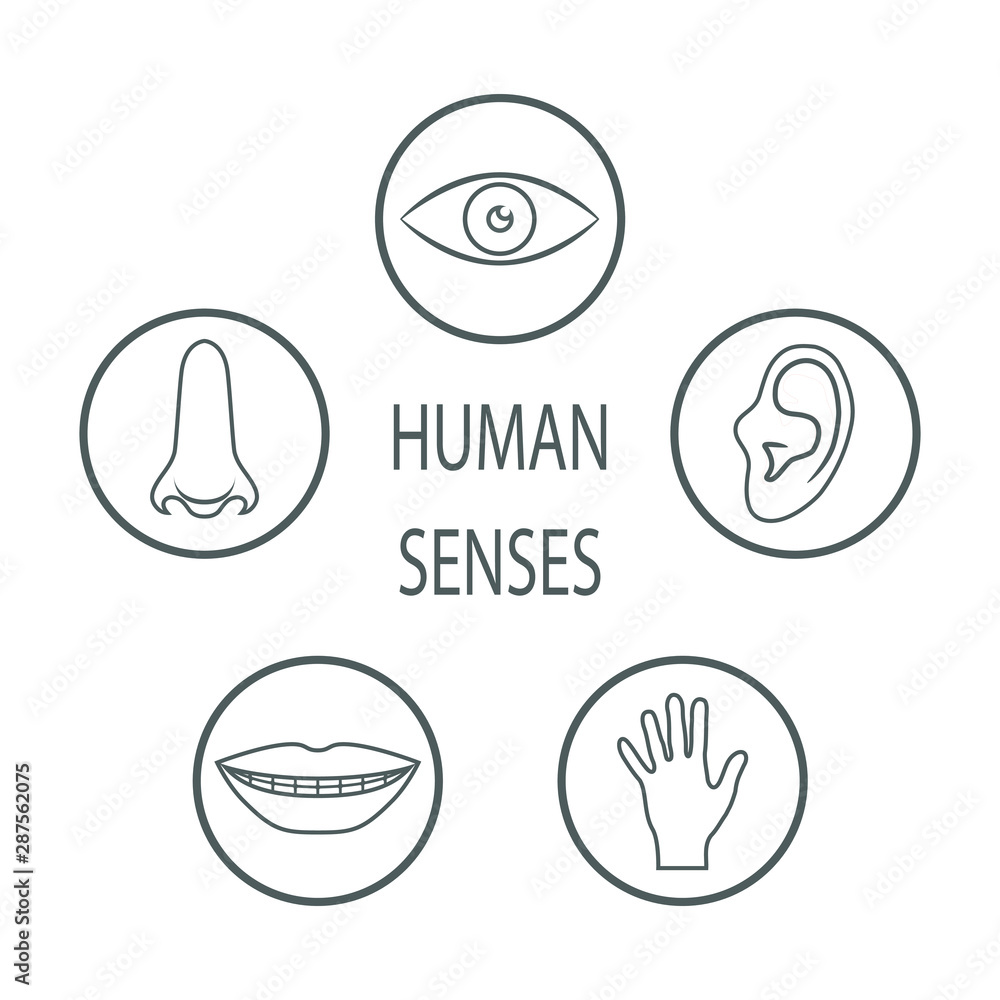 Senses of human perception icons set. Basic human feelings signs ...