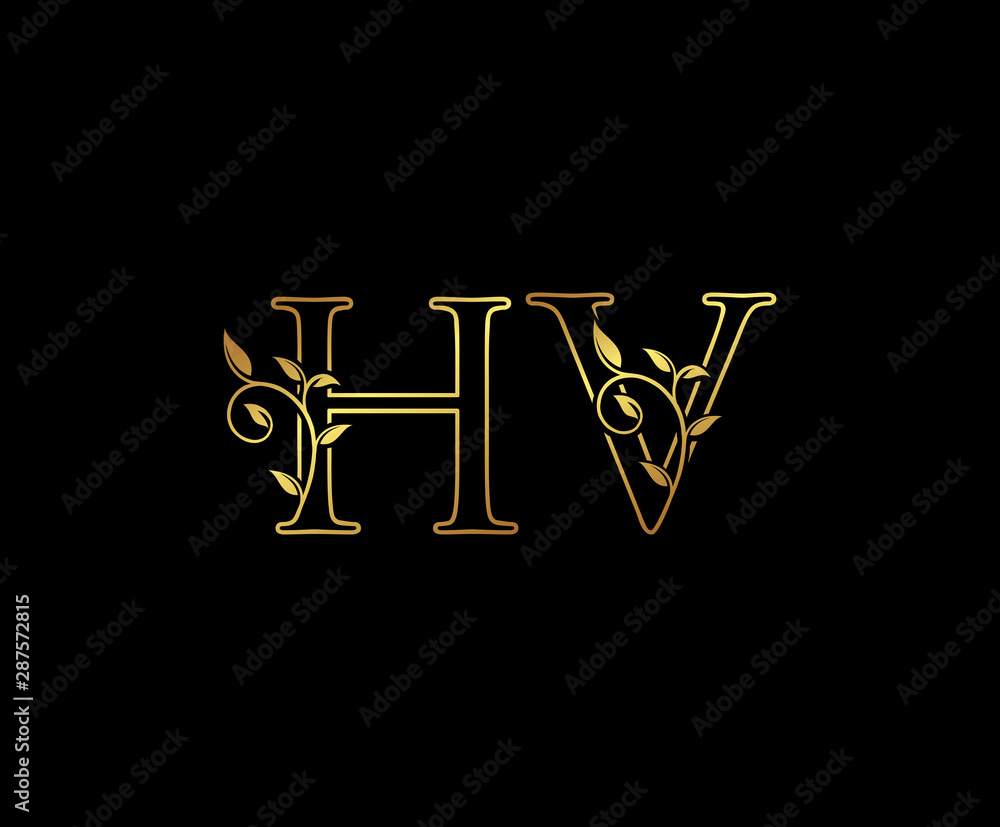 Vetor de Initial letter H and V, HV, Gold Logo Icon, classy gold letter ...