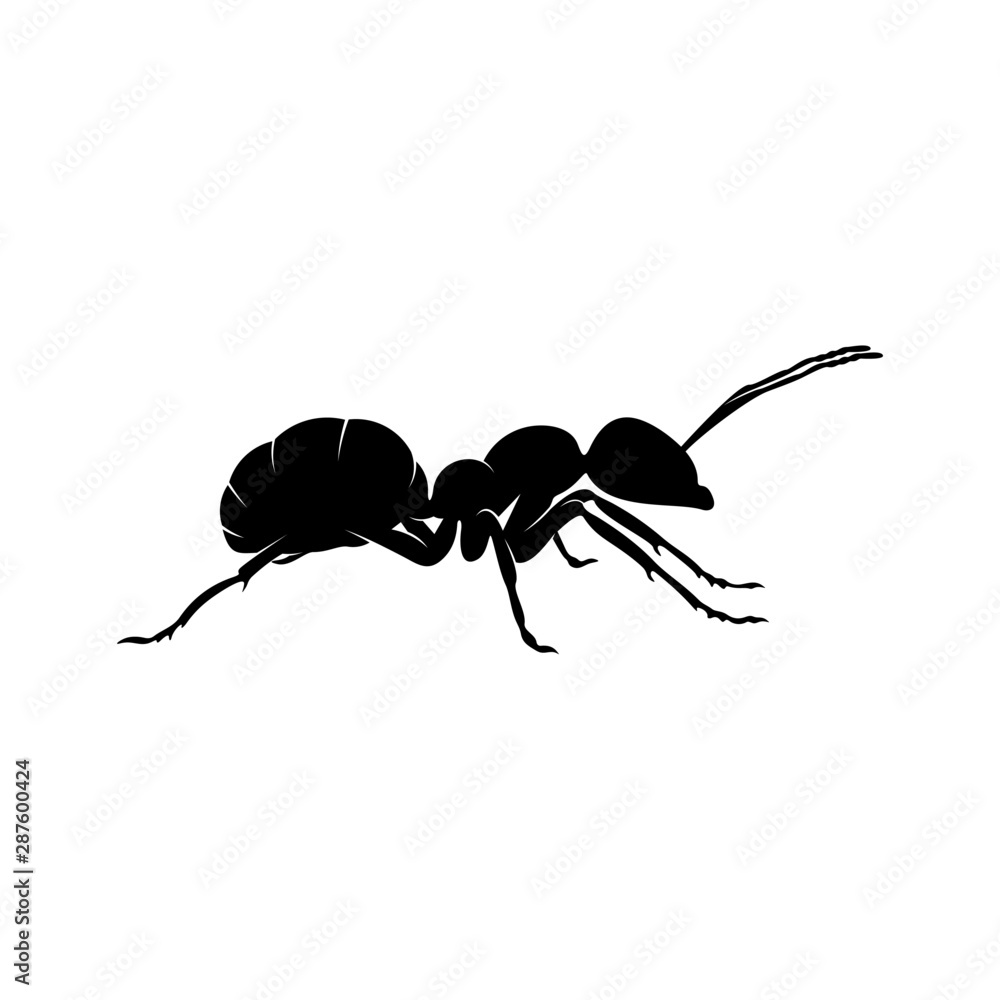Ant Vector Design Logo. Ant Illustration With Various Shapes and ...