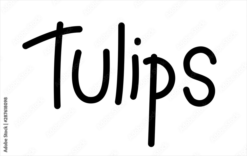 Tulips. Handwritten Word Lettering Vector Image Isolated on white ...