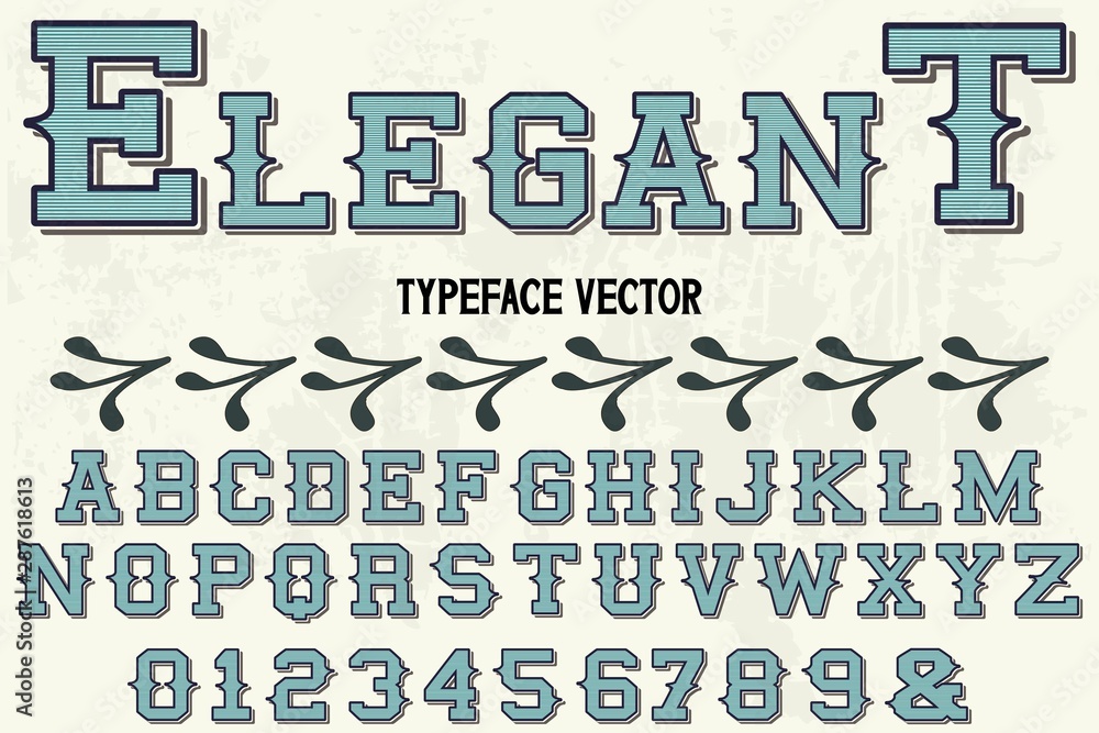 abc Font alphabet Script Typeface handcrafted handwritten vector label ...