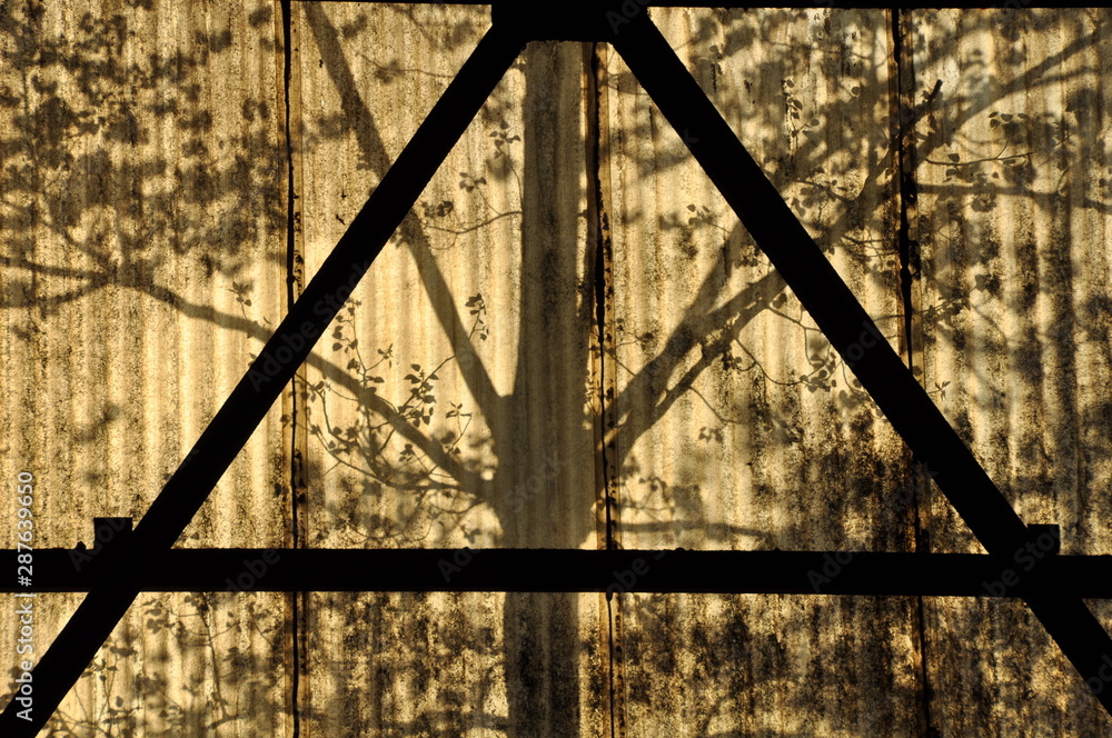 Foto de Tree Shadow on Corrugated Fiberglass & Iron I-Beam Triangle do ...