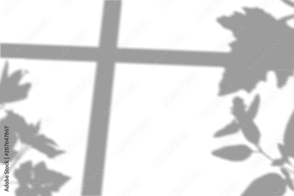 Black shadow silhouette and overlay on the white isolated background ...