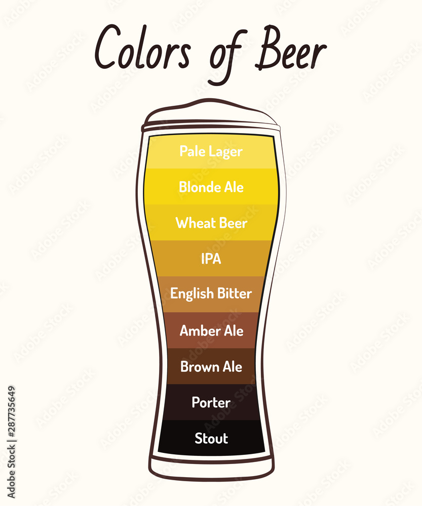 Colors of beer infographic. Stock Vector | Adobe Stock