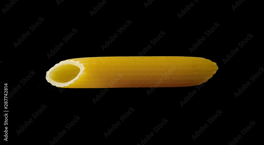 Single Macaroni Noodle