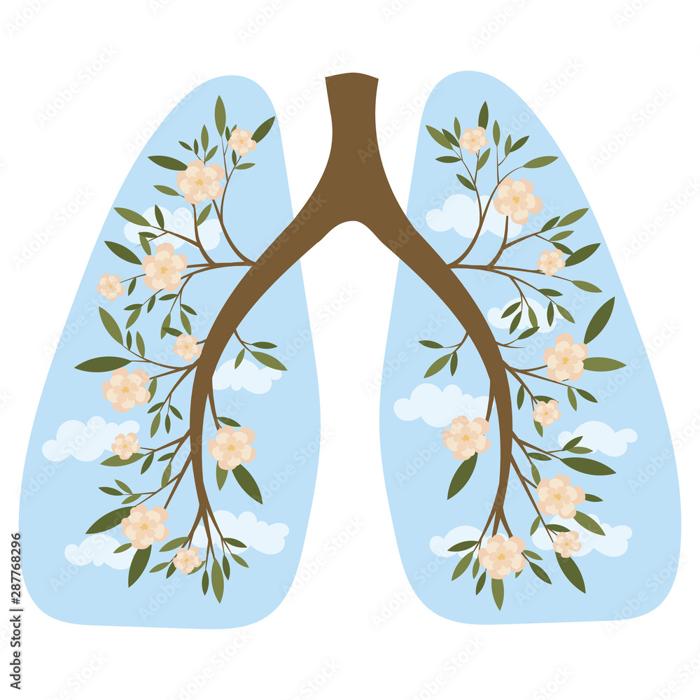 Human lungs. Respiratory system. Healthy lungs. Light in the form of a ...